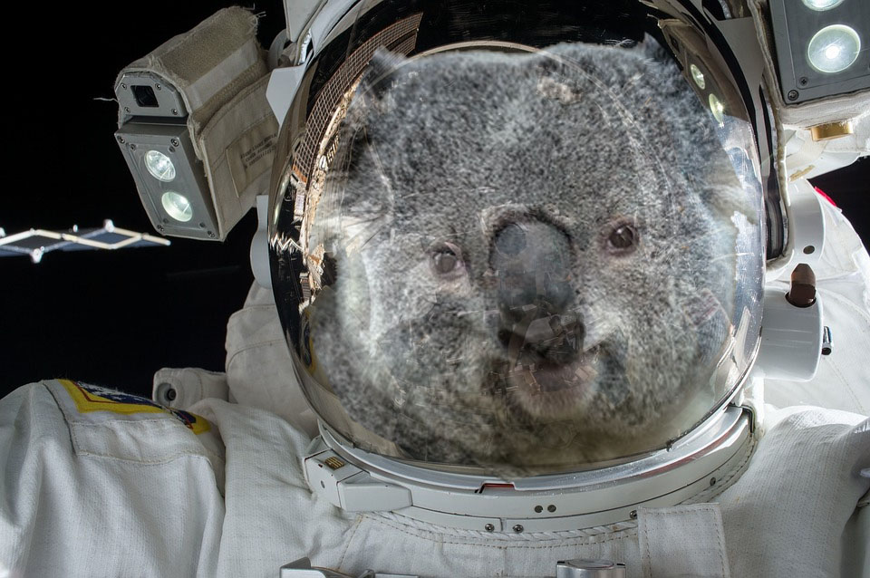 Australia to Launch National Space Agency