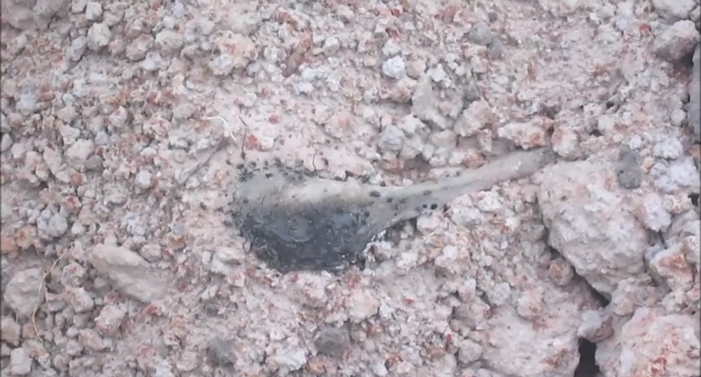 Khaosod Unearths Dog Mass Grave at Govt Site