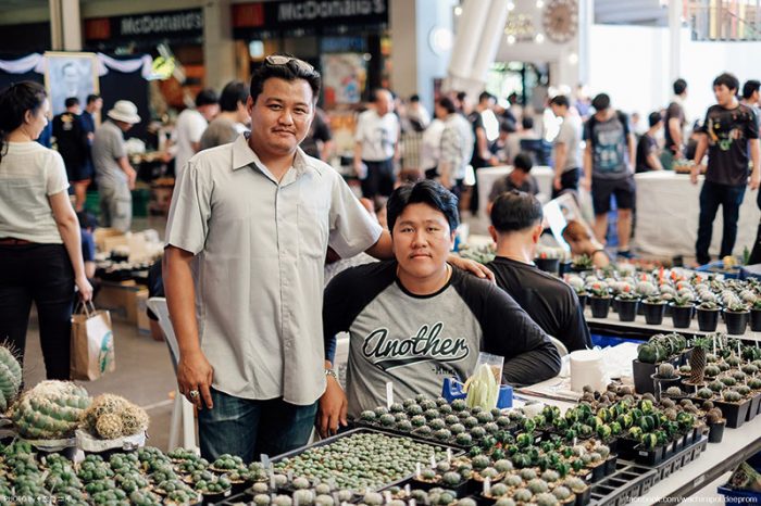 Stick Around For Cactus Fair This Weekend