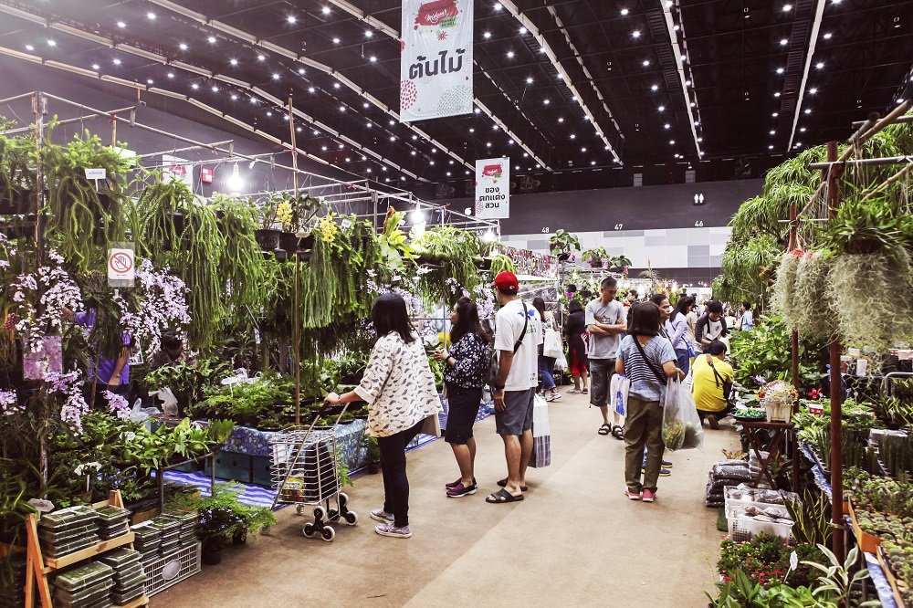 Garden Center Bangkok | Fasci Garden