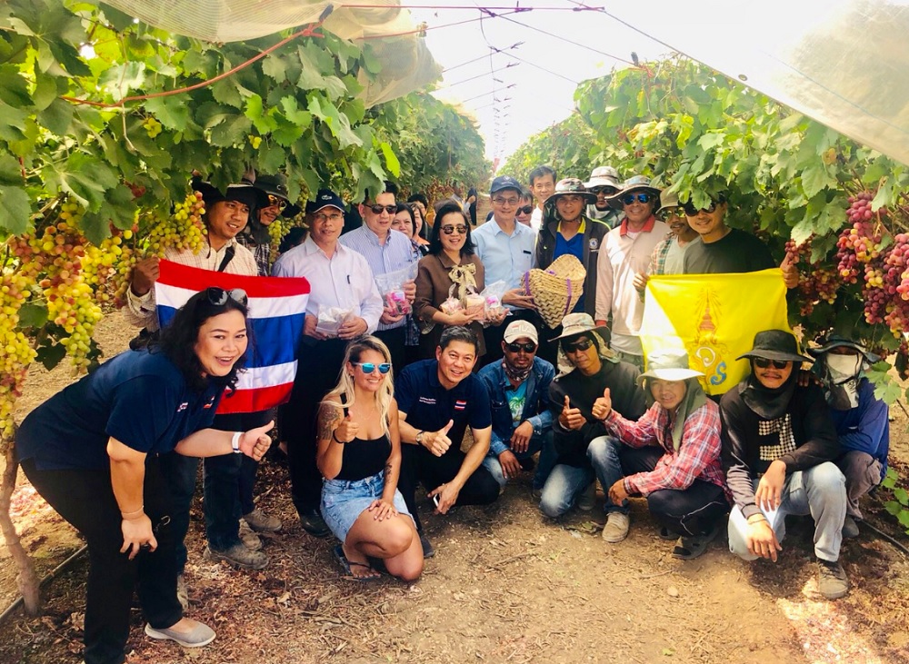 Israel, Thailand Ink Deal to Import 25,000 Farm Workers