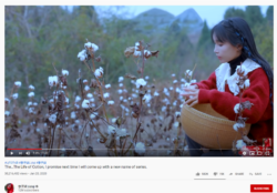 How Rural Chinese Farmers Went Viral on YouTube