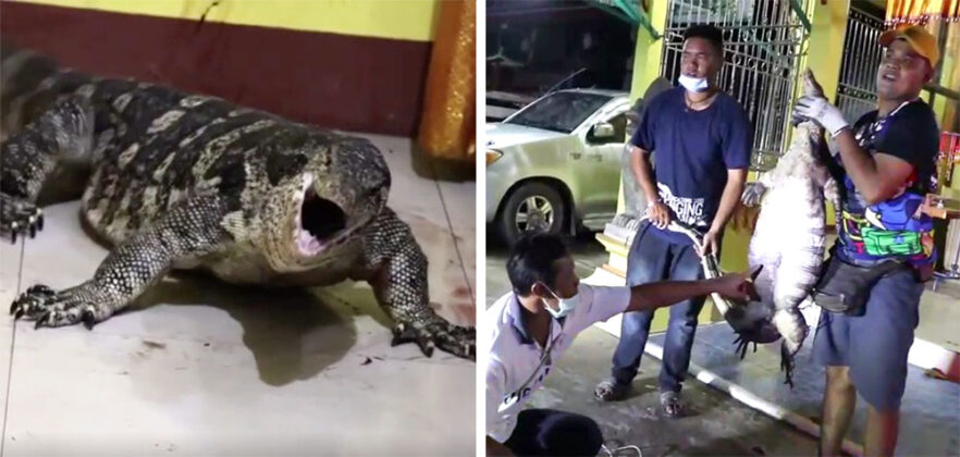 Ai Hia! Monitor Lizard Invades Temple, Crowd Goes Wild (Video)