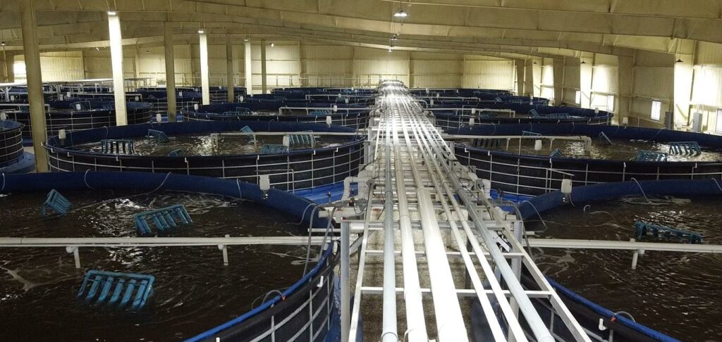 CP Foods’ Homegrown Shrimp USA Officially Opens its Florida Shrimp ...