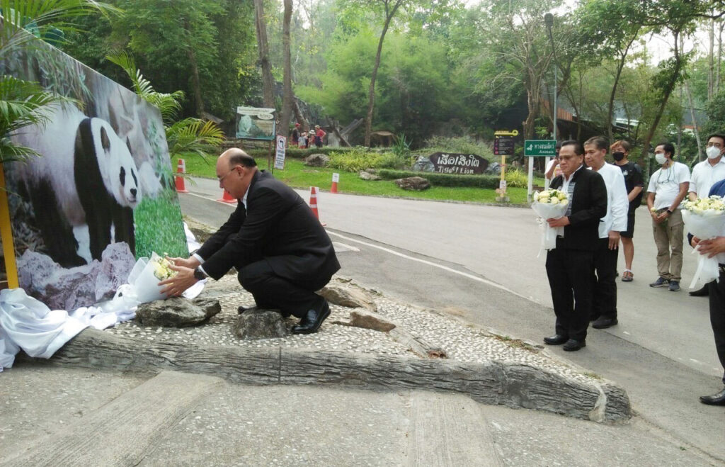 A Girl Cries When She Learns the Beloved Panda Lin Hui Died
