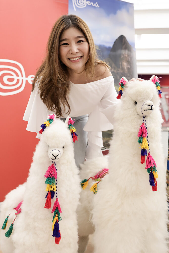 Welcome Torito de Pucará Ambassador of the Peruvian Highlands