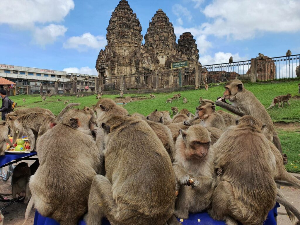 Lopburi Locals Ask the Prime Minister To Address Monkey Issues