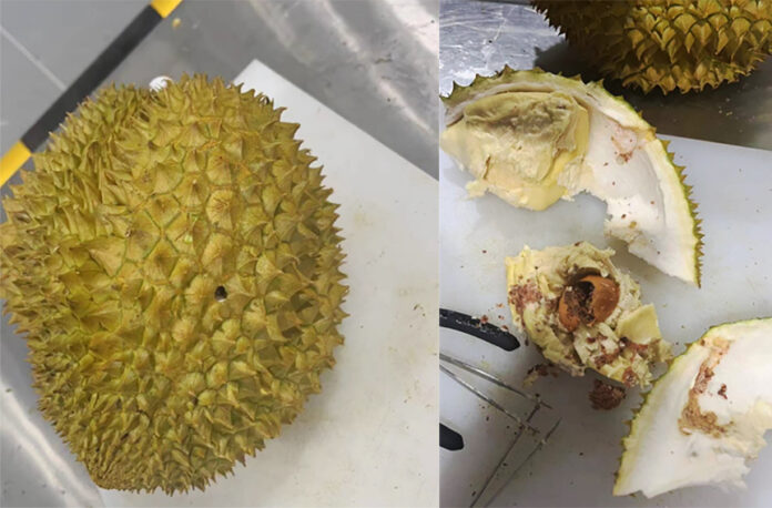 Thailand Acts Rapidly After China Rejects Worm-Infested Durians