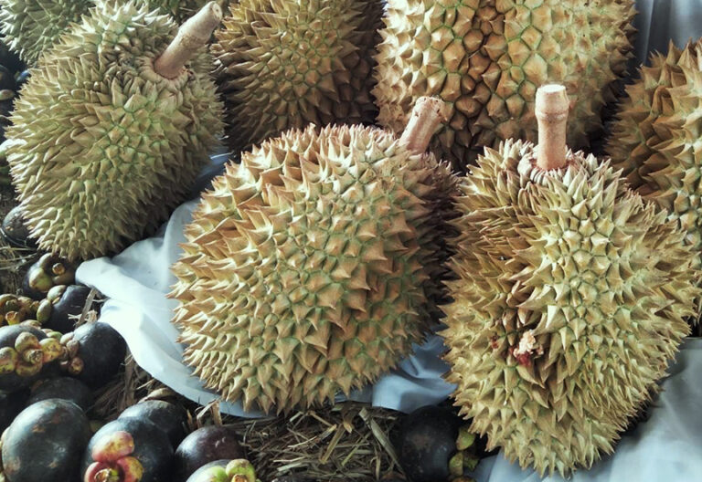 Thailand Acts Rapidly After China Rejects Worm-Infested Durians