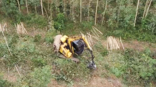 Officials Use Drones to Track A Wild Elephant That Attacked Backhoe