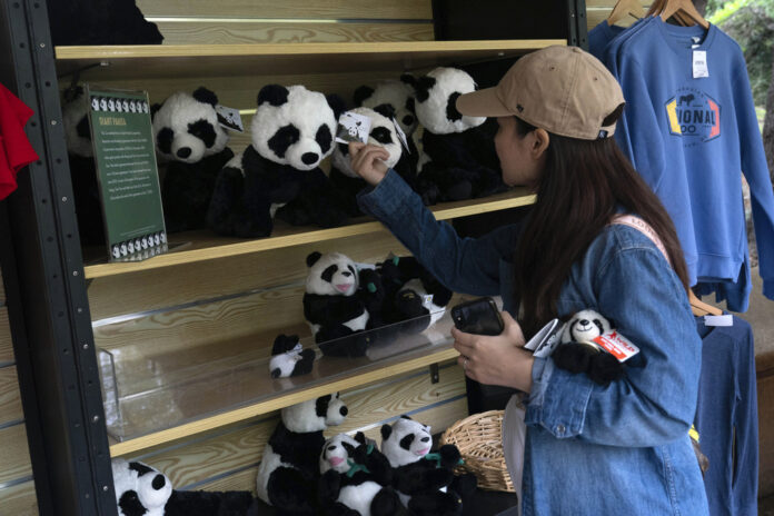 Panda Diplomacy: The Departure of DC’s Beloved Pandas May Signal a ...