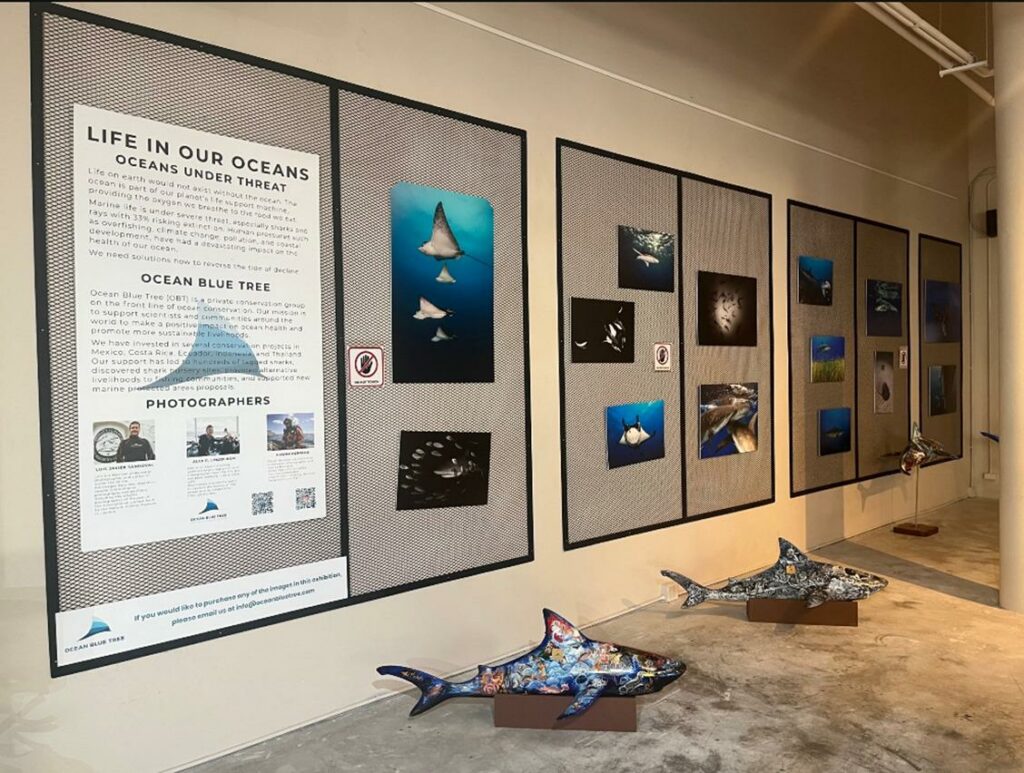 "Blue Tree Phuket" Achieves 5-Star STGs Recognition from TAT and ...