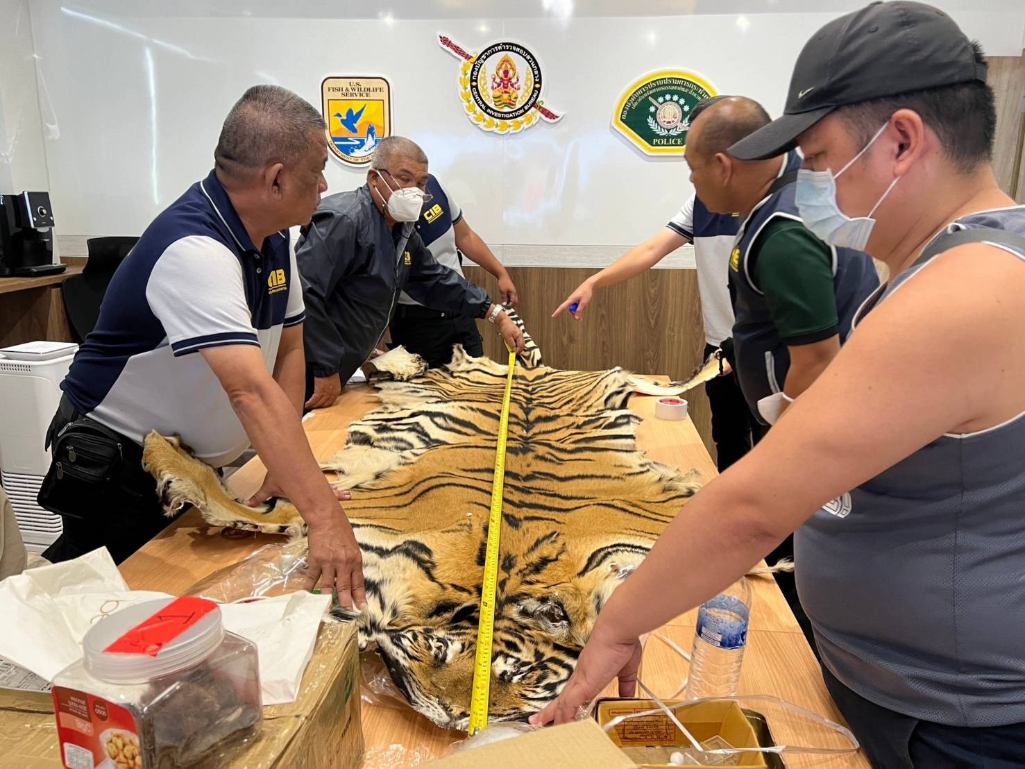 The US Helps Thais Catch A Man Selling Tiger Carcasses Online