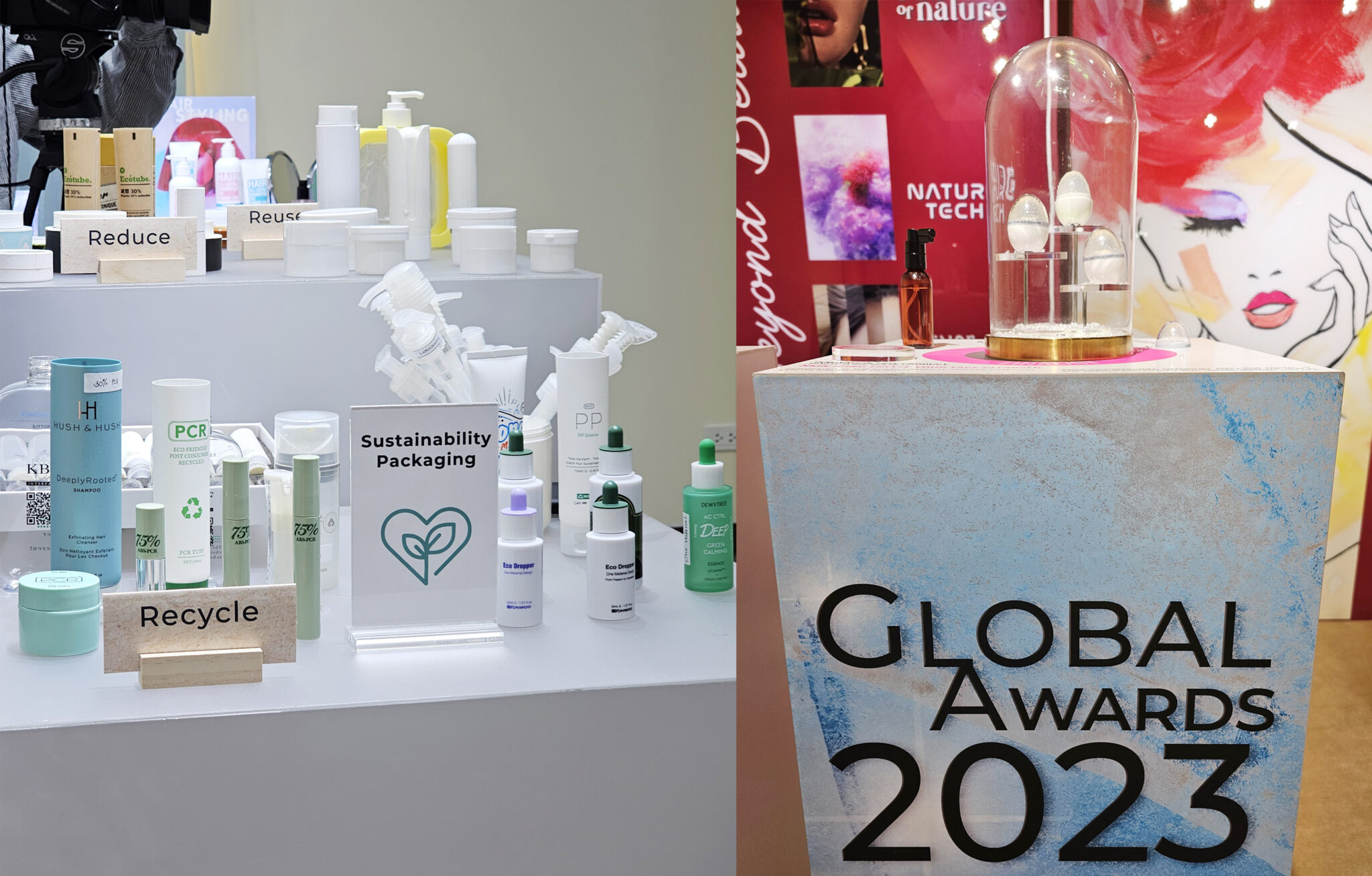 BSC Products Value The Lotusia As Having Soft Power And Sustainability