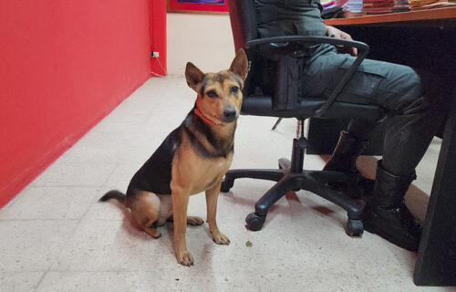 The Convict On The Run Releases A New Video Questioning Court