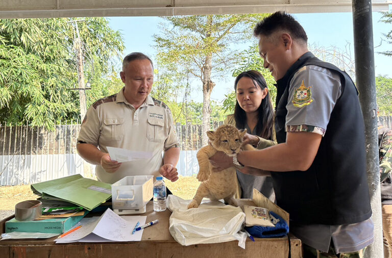 Three Lion Pet News Stories Are Coming From The Same Farm