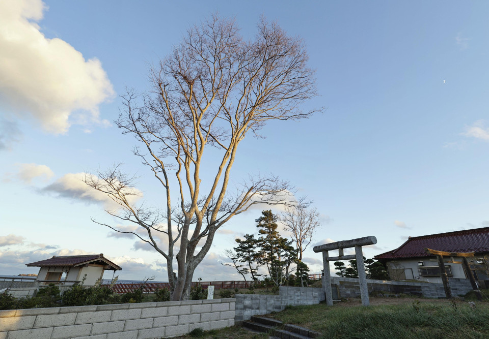 Indian Ocean Tsunami Wave Height