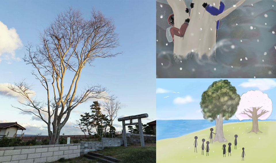 Tree That Saved Lives From 2011 Tsunami Feted Through Storytelling