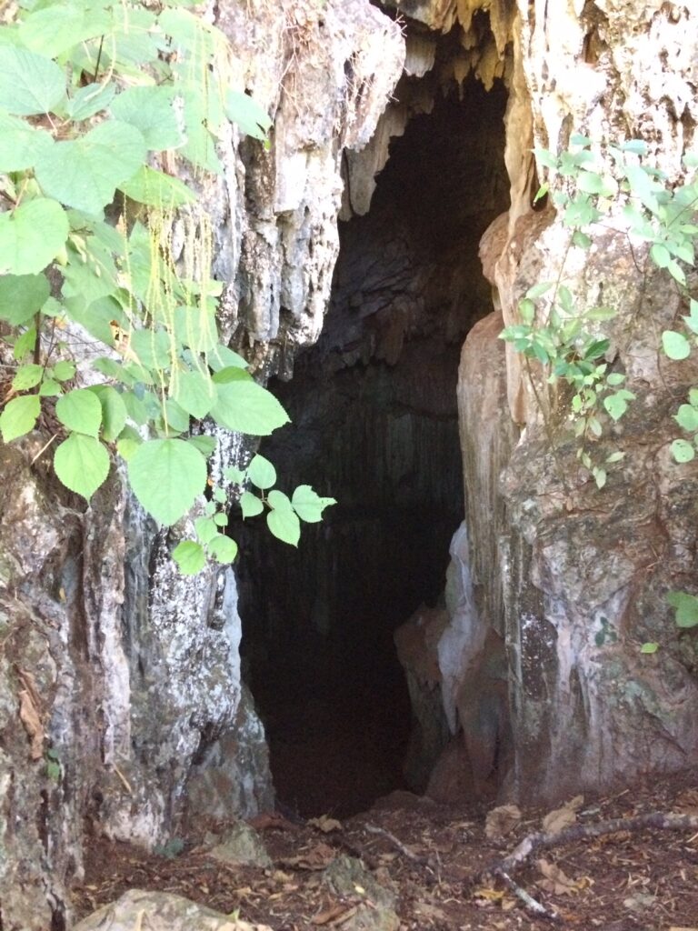 New insights Into Thailand’s Iron Age Log Coffin Culture