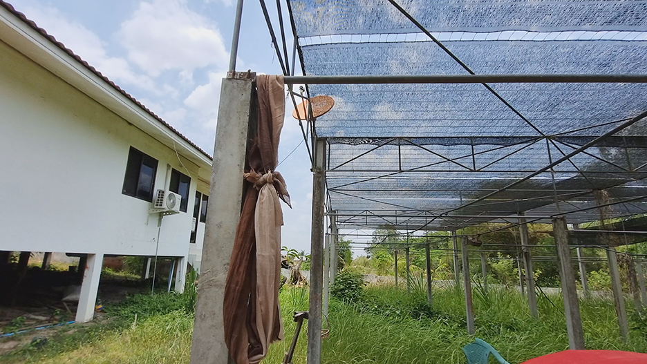 German Husband, Family Mourn Udon Thani Woman With Depression