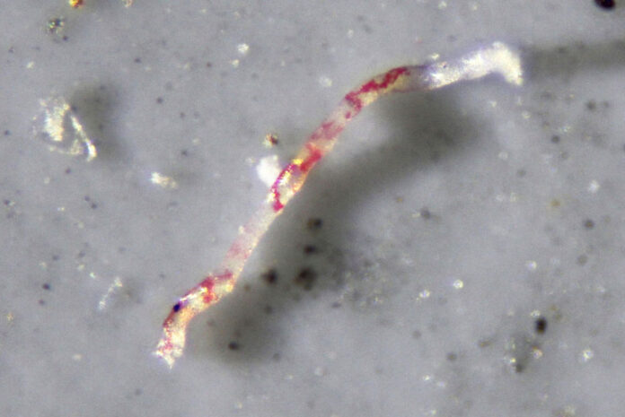 Airborne Microplastics a Dark Cloud on Horizon for Human Health