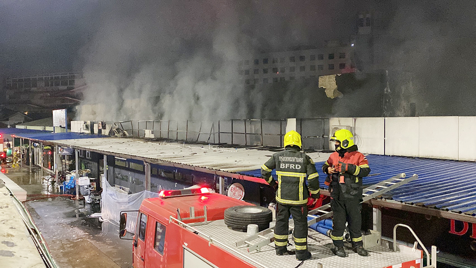 Pets in Chatuchak Market Need Help After Fire Kills Hundreds of Them