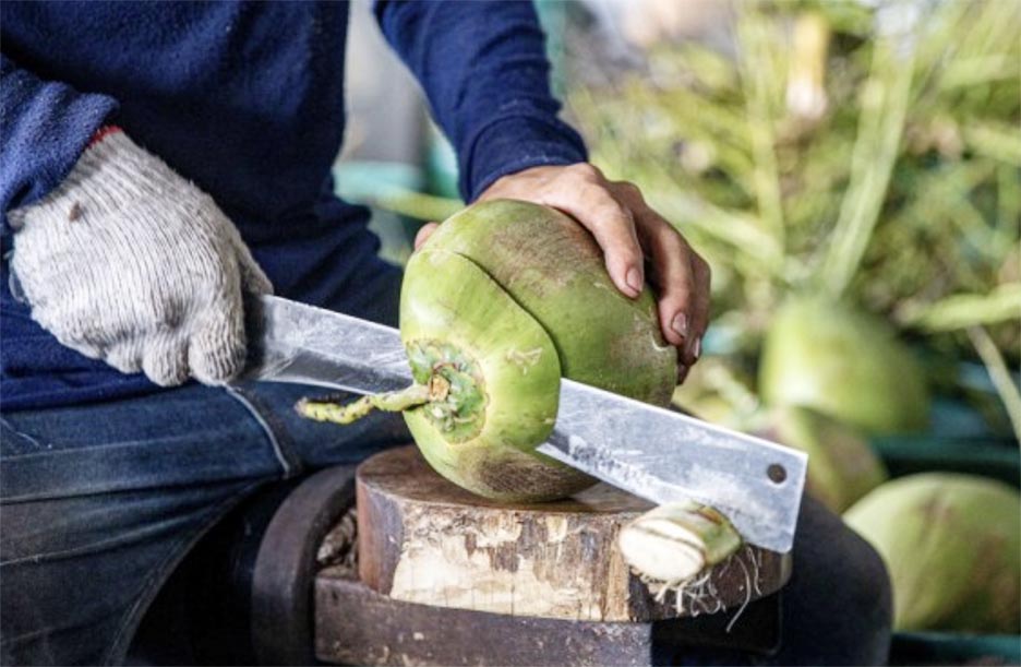 Thai Coconut Water Industry Shaken as "Vietnam" Competes for Chinese Market