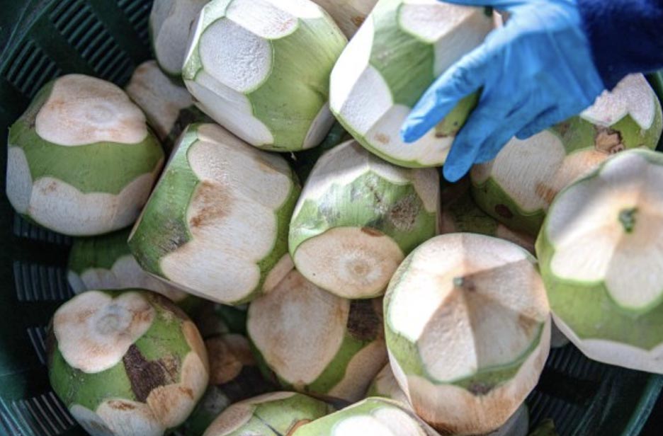 Thai Coconut Water Industry Shaken as "Vietnam" Competes for Chinese Market