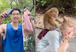 Phuket Police Help Russian Tourist Retrieve Her Items from Monkey Thief