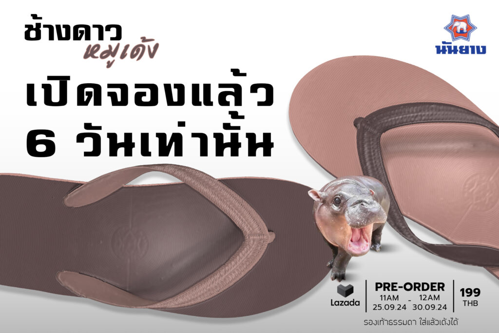 Moo Deng: Decoding a Viral Sensation - The Rise of a Hippo Celebrity