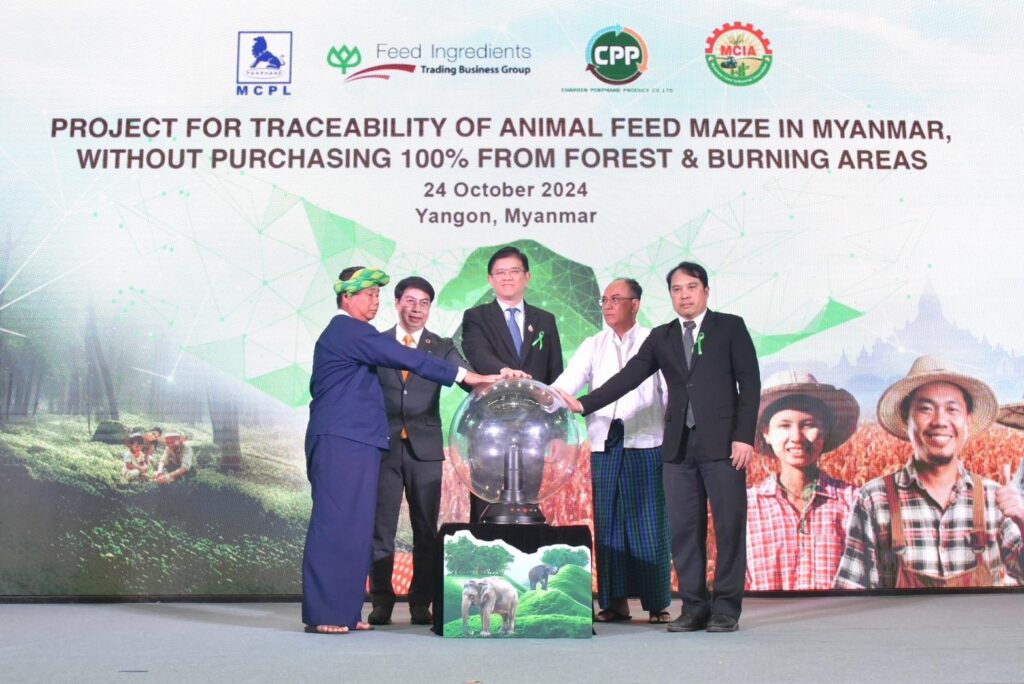 CP Brings Smart Farming Tech to Myanmar Corn Sector