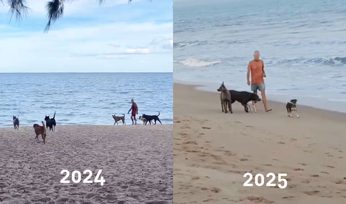 Thai-Irish Couple Reports Swiss Man Over Restaurant Confrontation