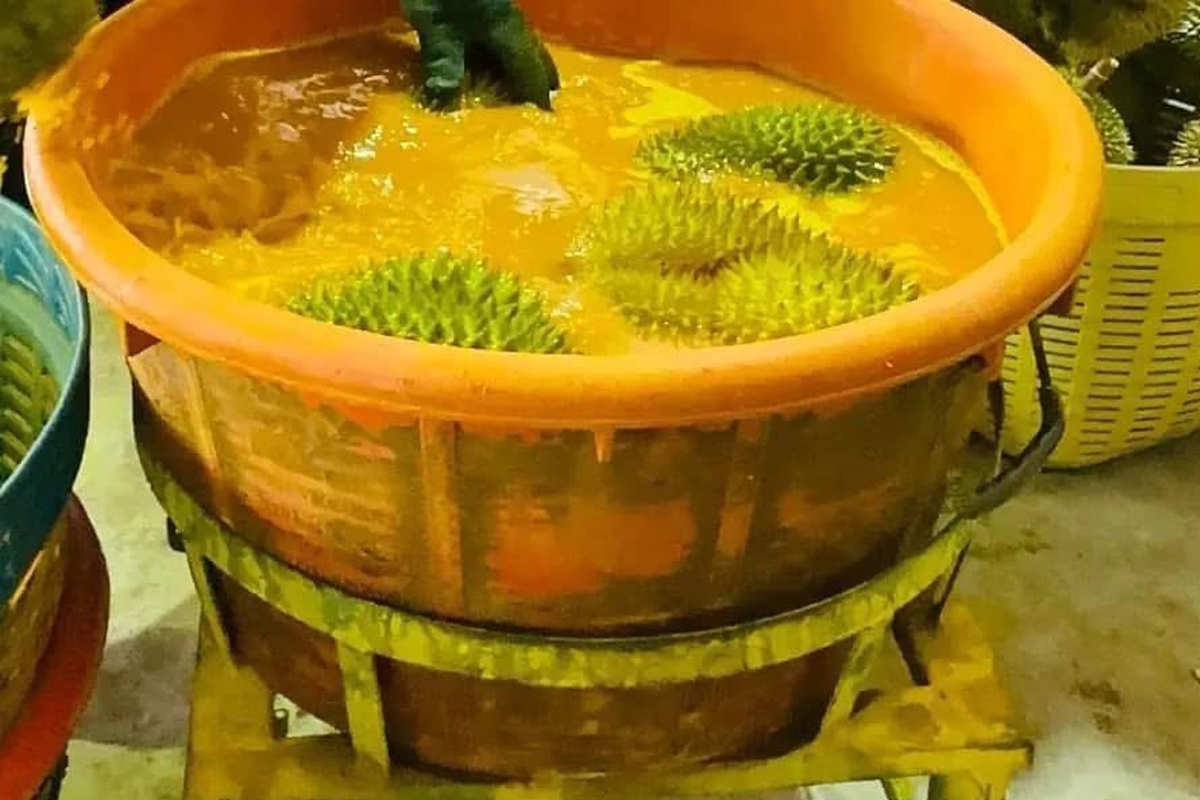 Thai Durian Prices Crash After China's Chemical Test Rules