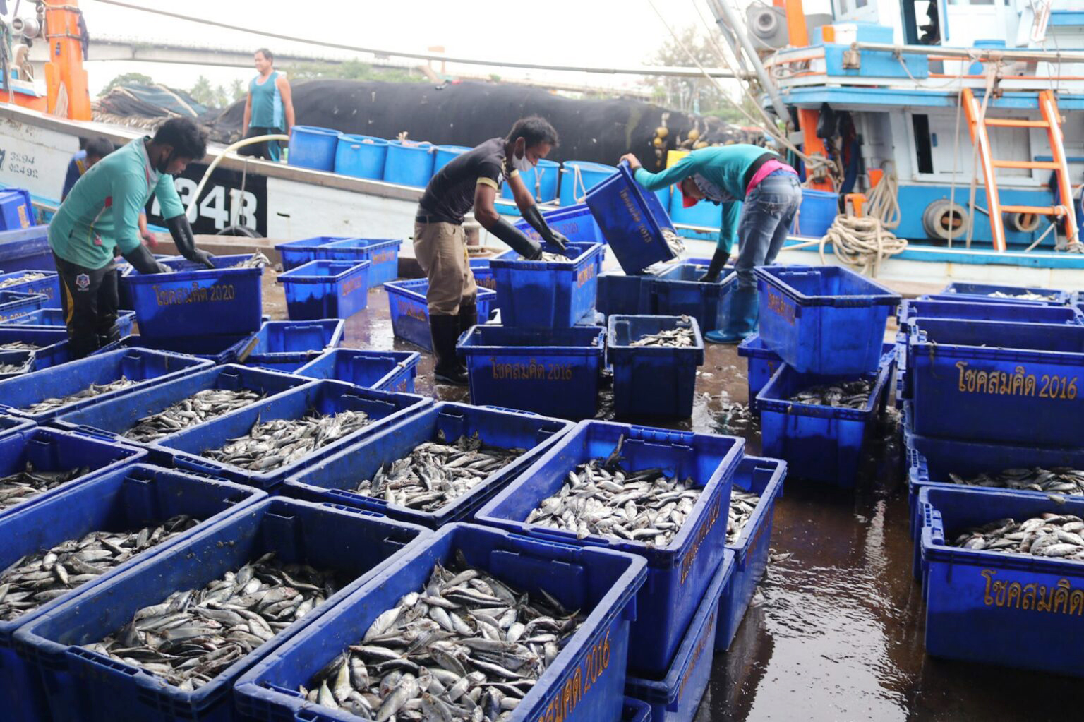 Thai Cabinet Approves Work Permits for Myanmar Refugees