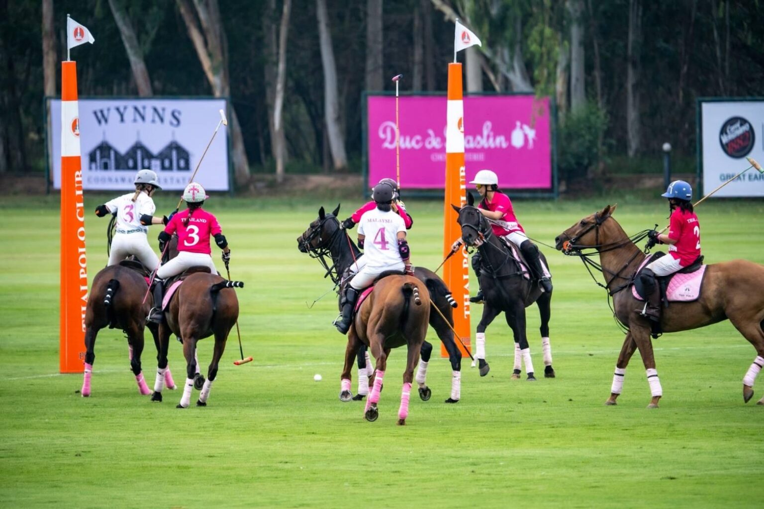 Queen’s Cup Pink Polo 2025: A Grand Celebration of Women's Polo for ...