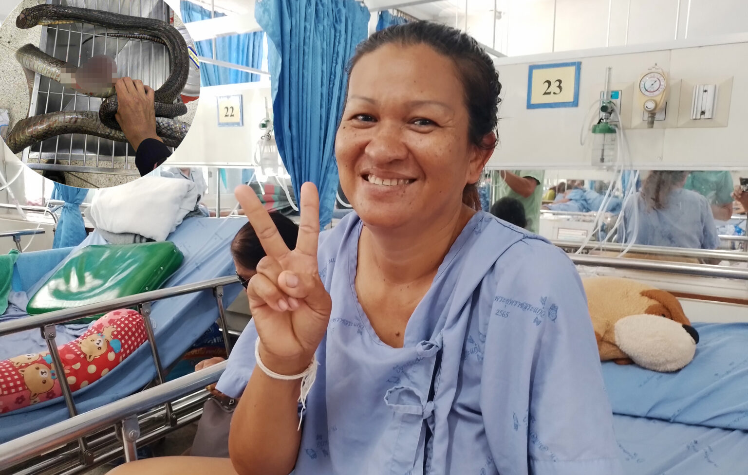 Thai Woman Survives King Cobra Attack, Brings Snake to Hospital