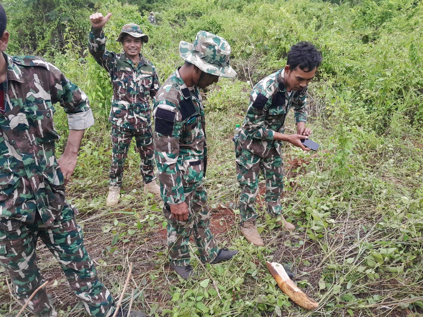 Elephant Loses Tusk in Battle Outside Khao Yai National Park