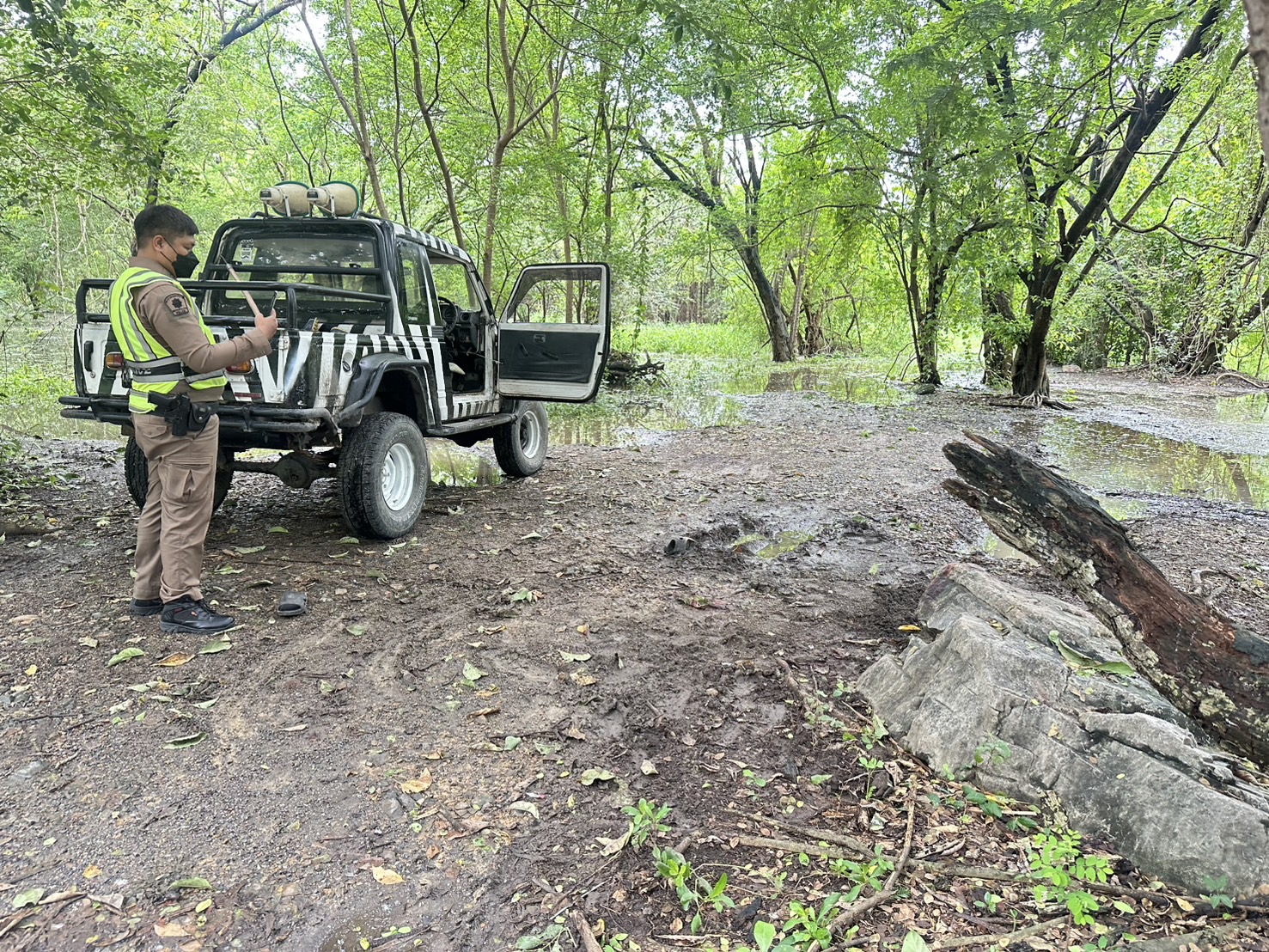 Bangkok Safari Employee Killed in Lions Attack After Breaking Safety Rules