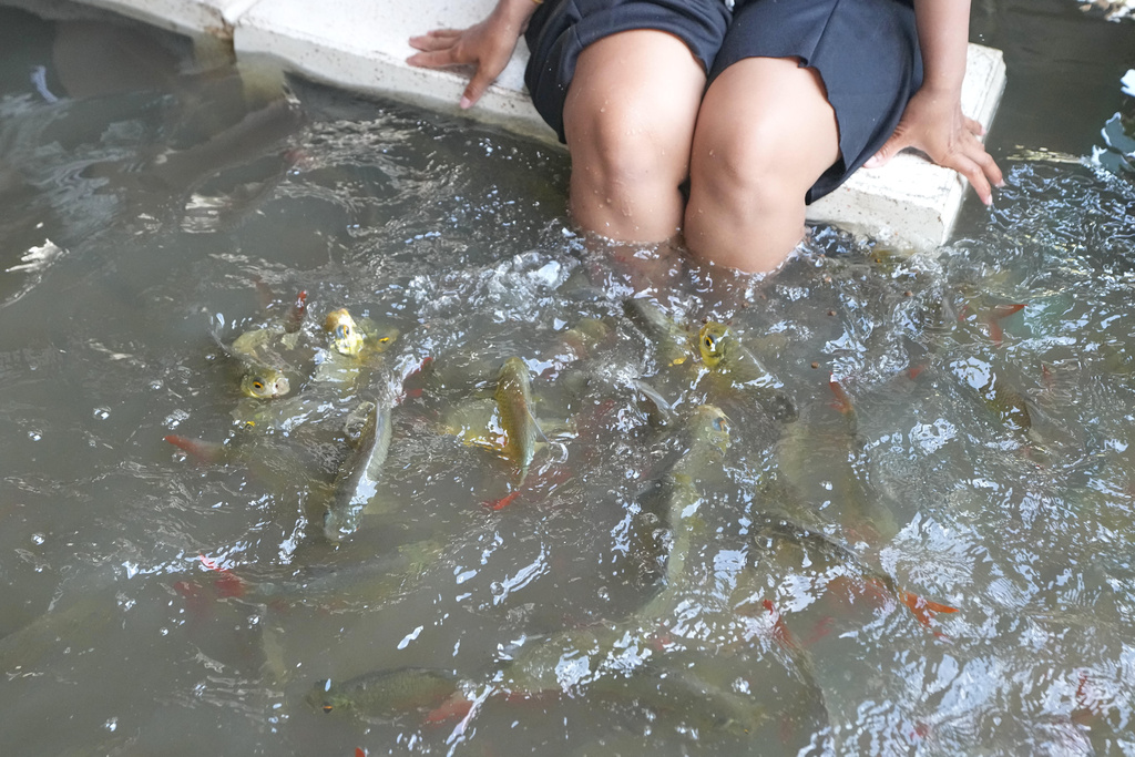 A Flooded Restaurant in Thailand Brings Delight With Swimming Fish ...