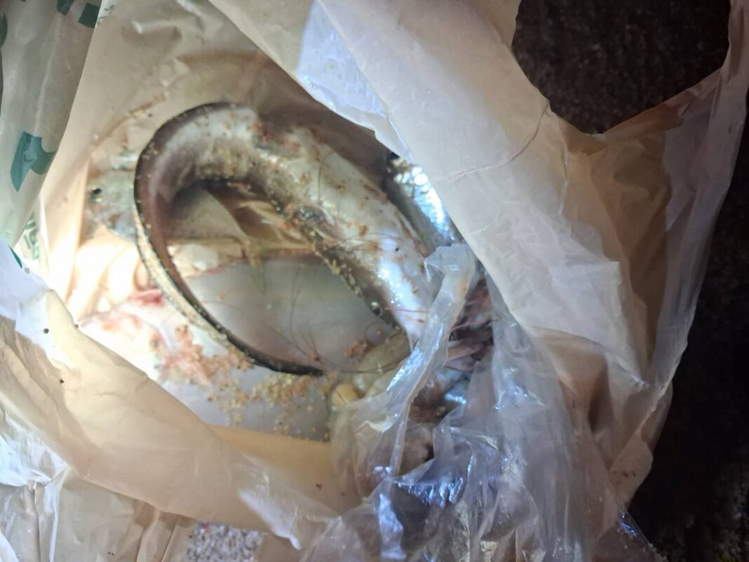 Venomous fish sting sends man to hospital at Pattaya beach