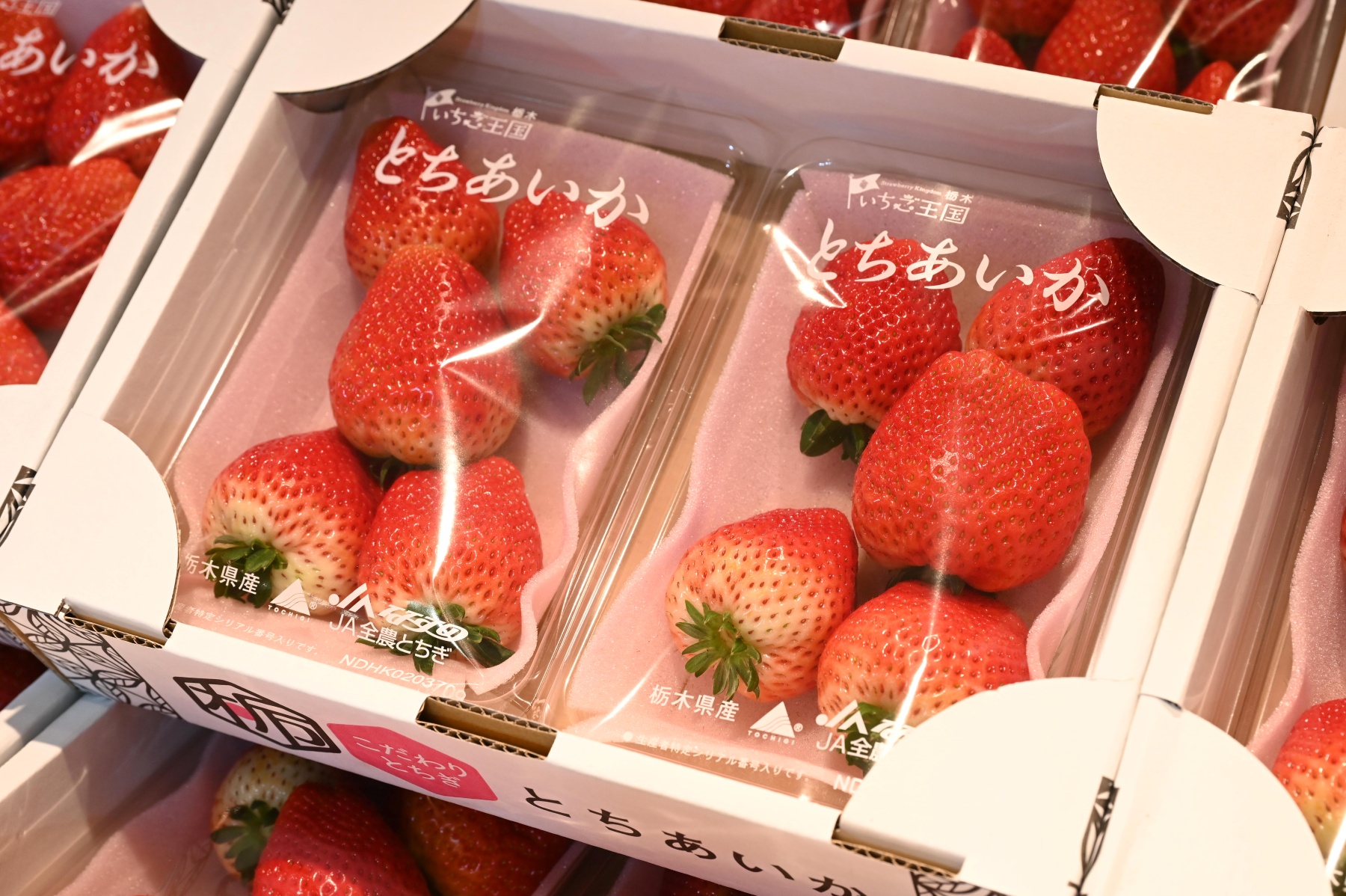 Japan’s LOPIA opens first Thailand store at Central Chaengwattana