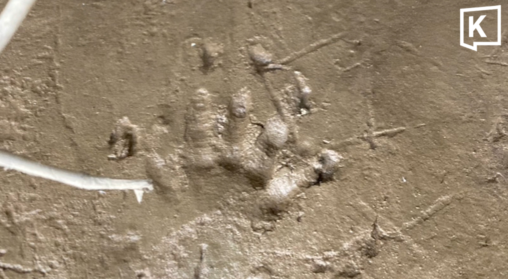 Thai villagers alarmed by crocodile-like tracks in river