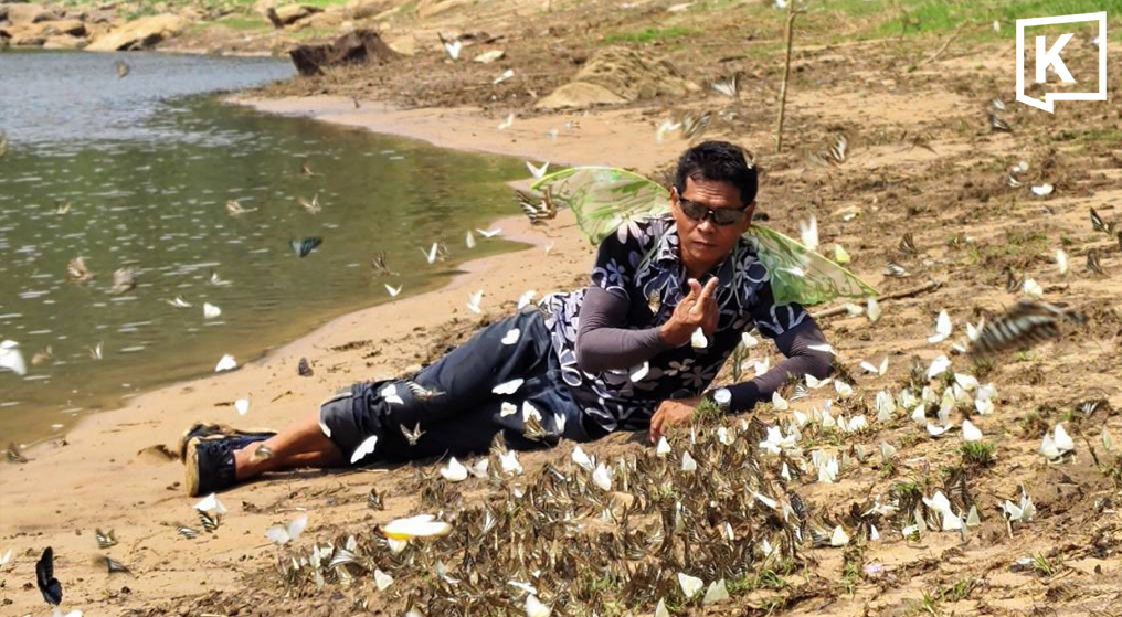 Thousands of butterflies draw tourists to Lam Chae