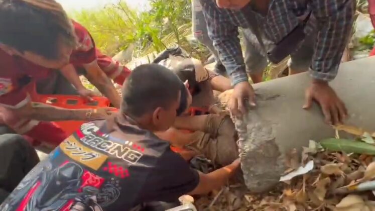 81-year-old woman trapped in drainage pipe after trying to rescue dog